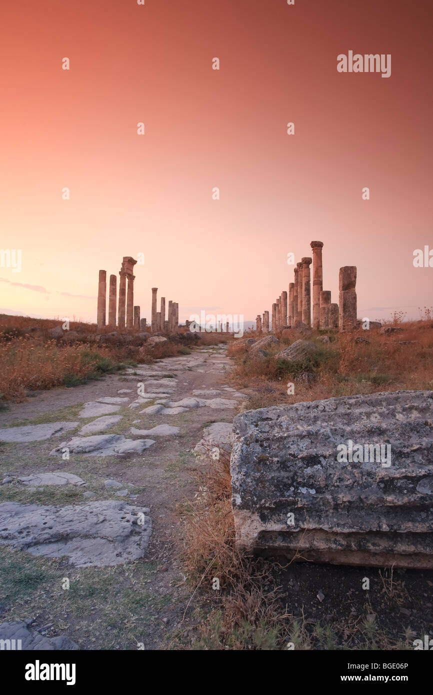 Syria, Apamea (Afamia) Archaeological Site (founded 3rd Century BC ...