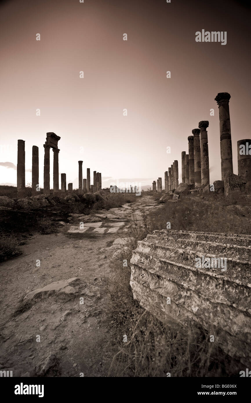 Syria, Apamea (Afamia) Archaeological Site (founded 3rd Century BC ...