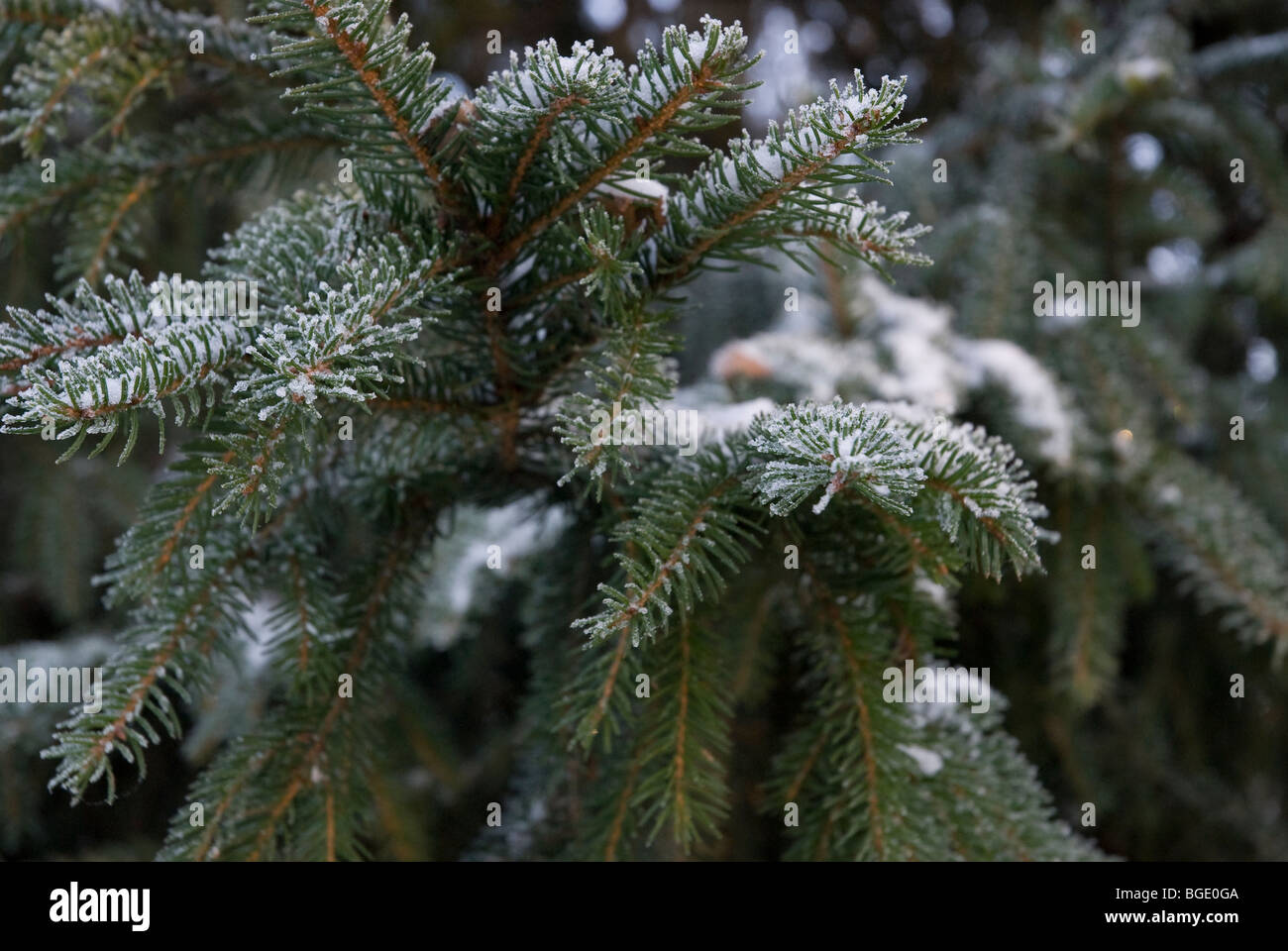 Drizzle hi-res stock photography and images - Alamy