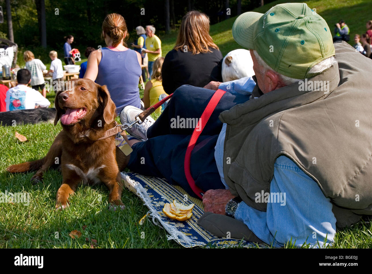 Crowd of people with their dogs sit on the grass Stock Photo - Alamy