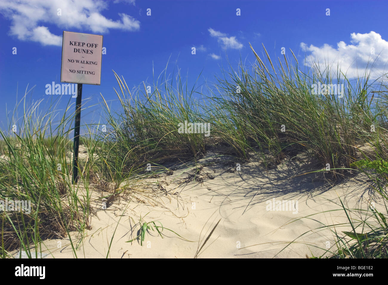keep off dunes sign Cape Cod Massachusetts USA Stock Photo - Alamy