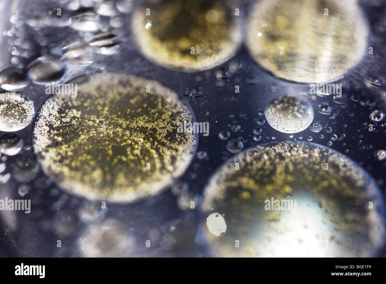 Bubble emulsion hi-res stock photography and images - Alamy