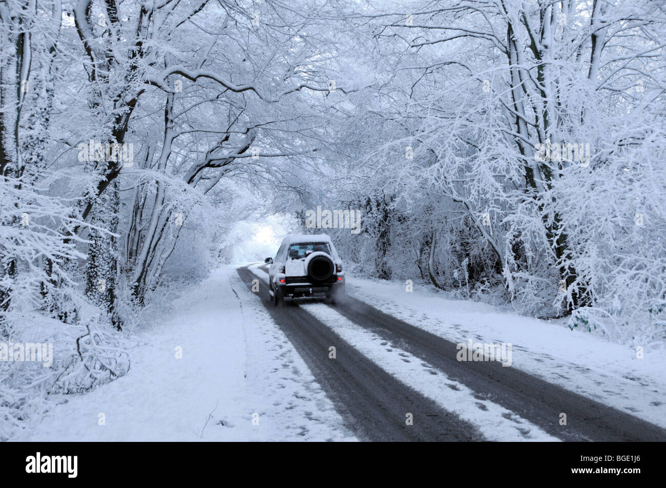 Car snow driving trees hi-res stock photography and images - Alamy