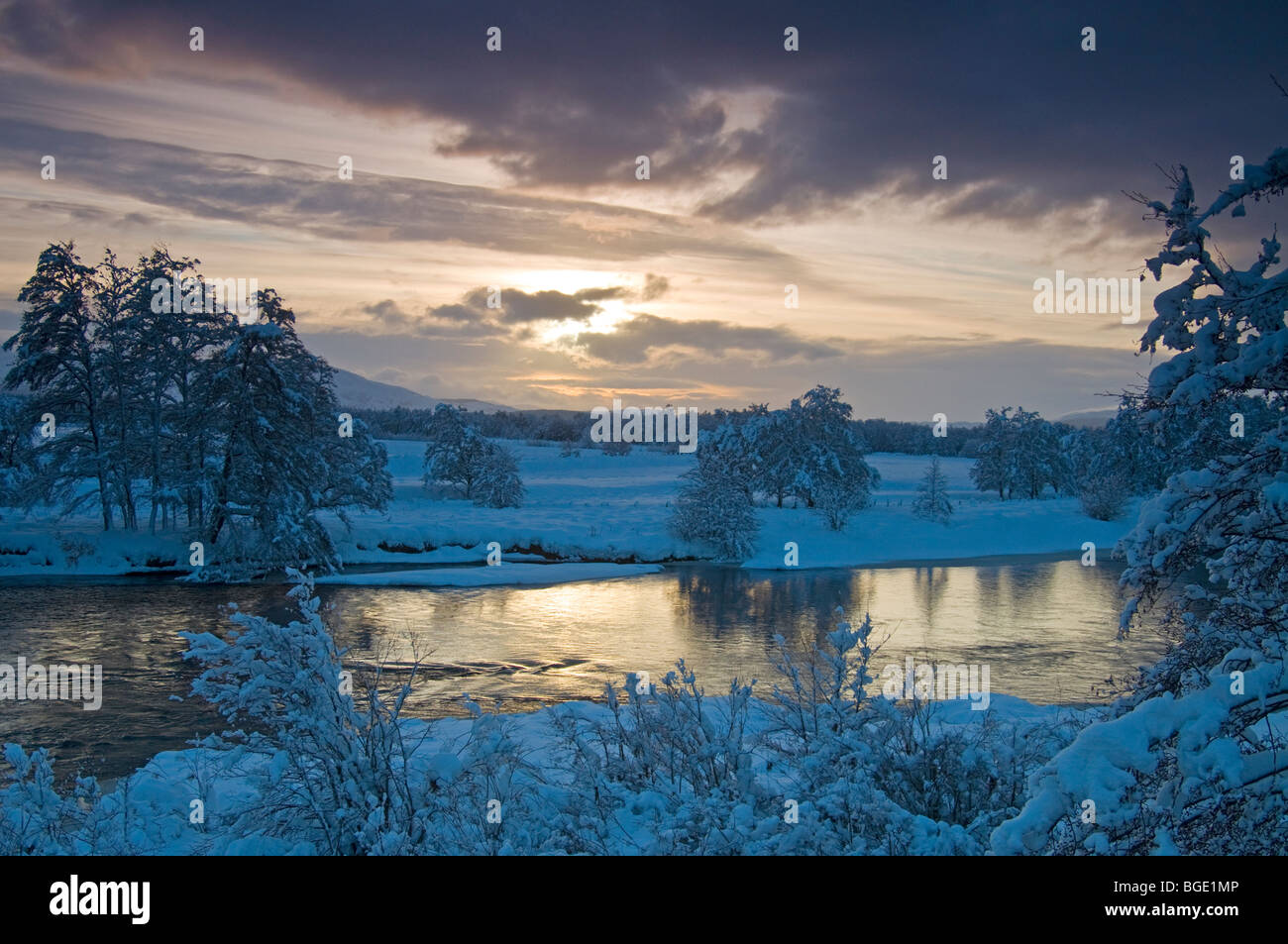 The River Spey in Winter at Broomhill Nethy Bridge Inverness-shire SCO ...