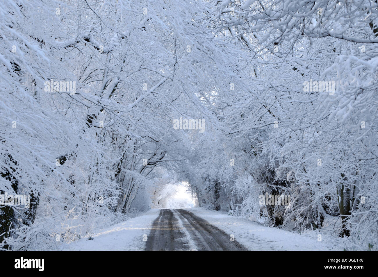 Winter wonderland country lane Stock Photo - Alamy