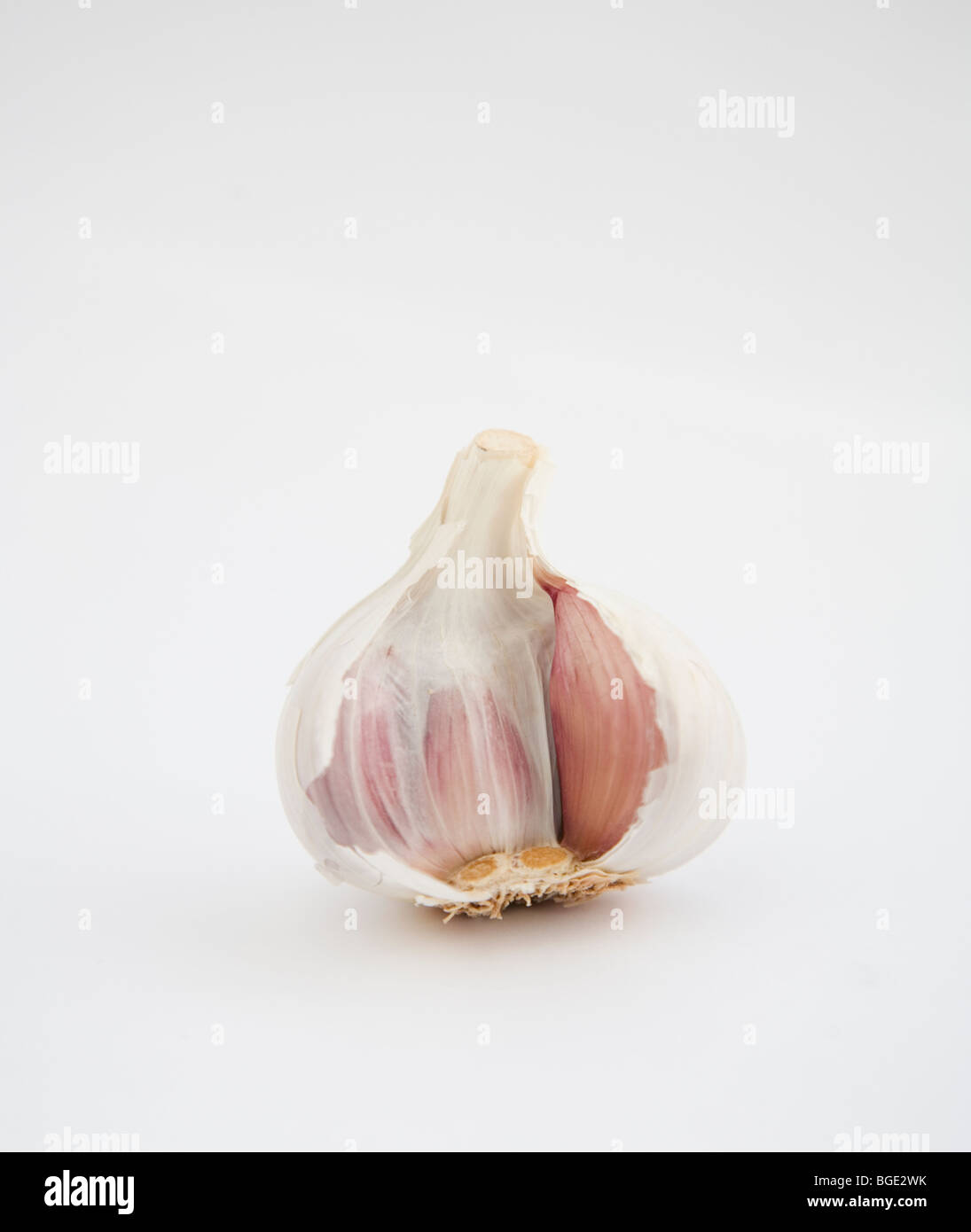 Garlic roots hi-res stock photography and images - Alamy