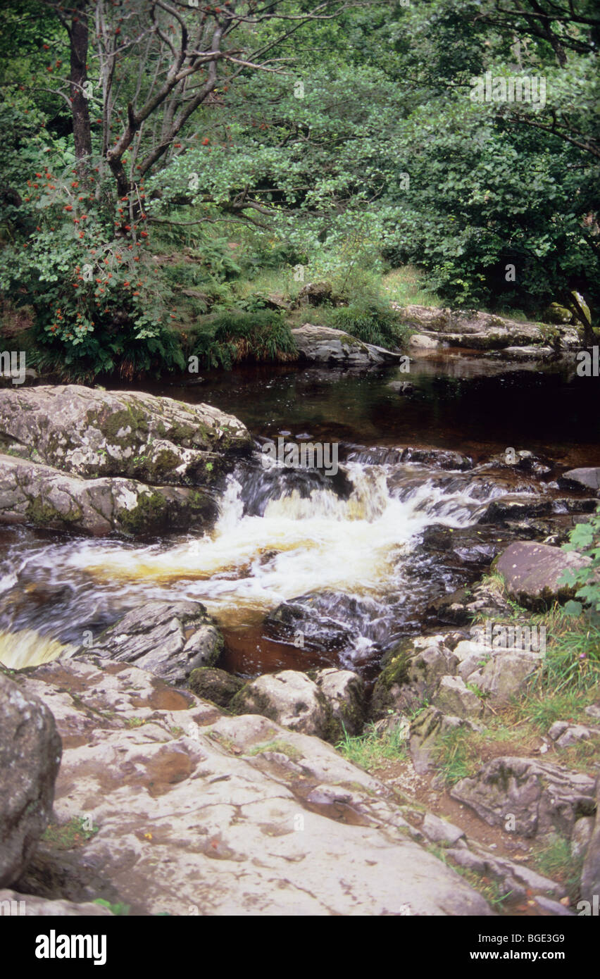 Force word hi-res stock photography and images - Alamy