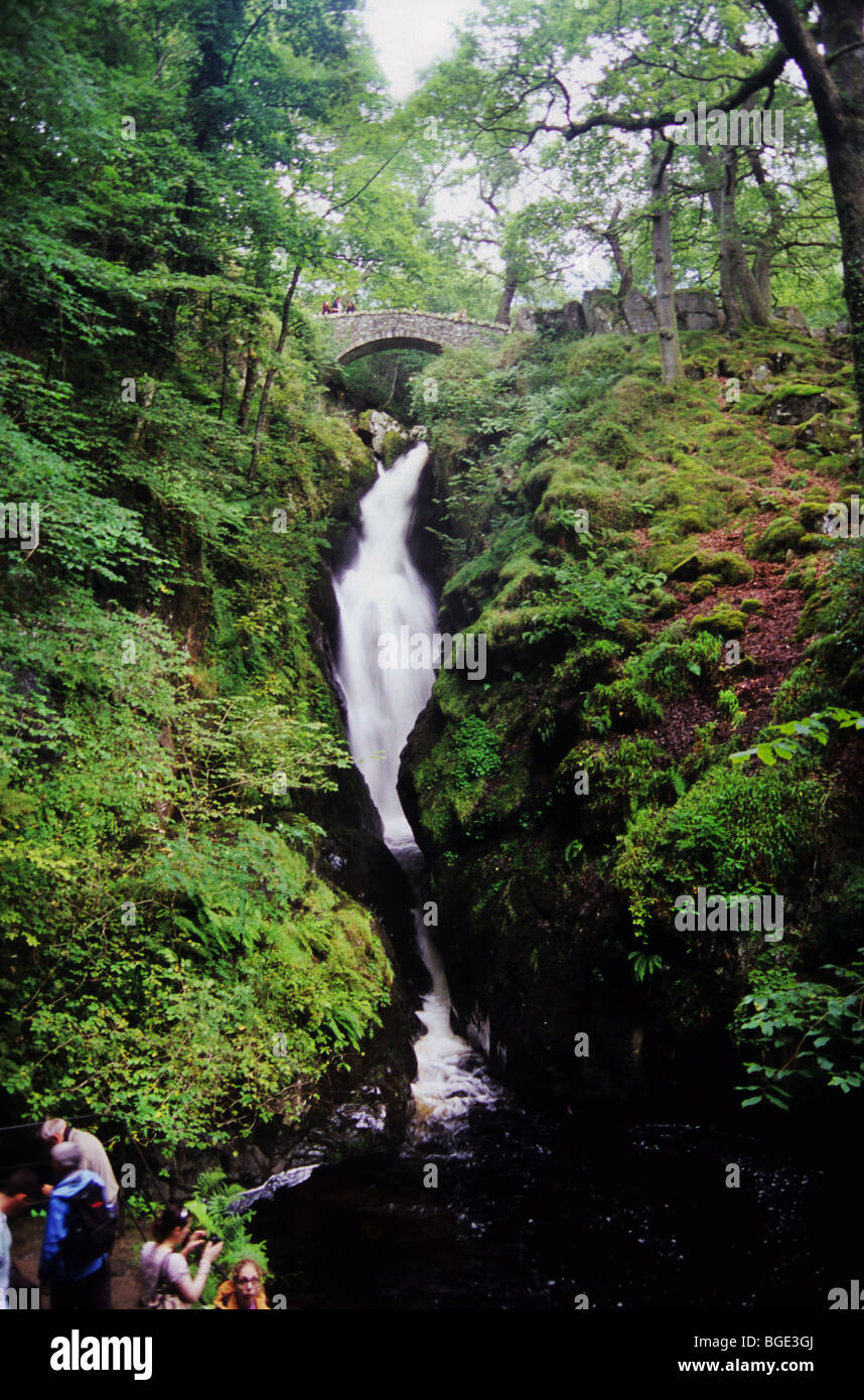 Aira Force Water Fall. Ullswater. Lake District. Cumbria. Scenic spot ...
