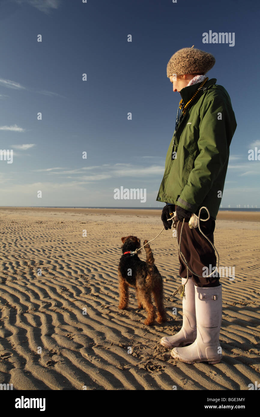A dog walk on Talacre Beach in Flintshire North Wales Stock Photo - Alamy