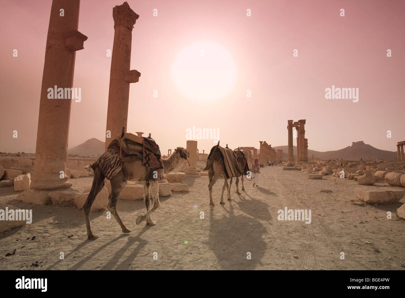 Syria, Palmyra ruins (UNESCO Site), Great Colonnade Stock Photo - Alamy