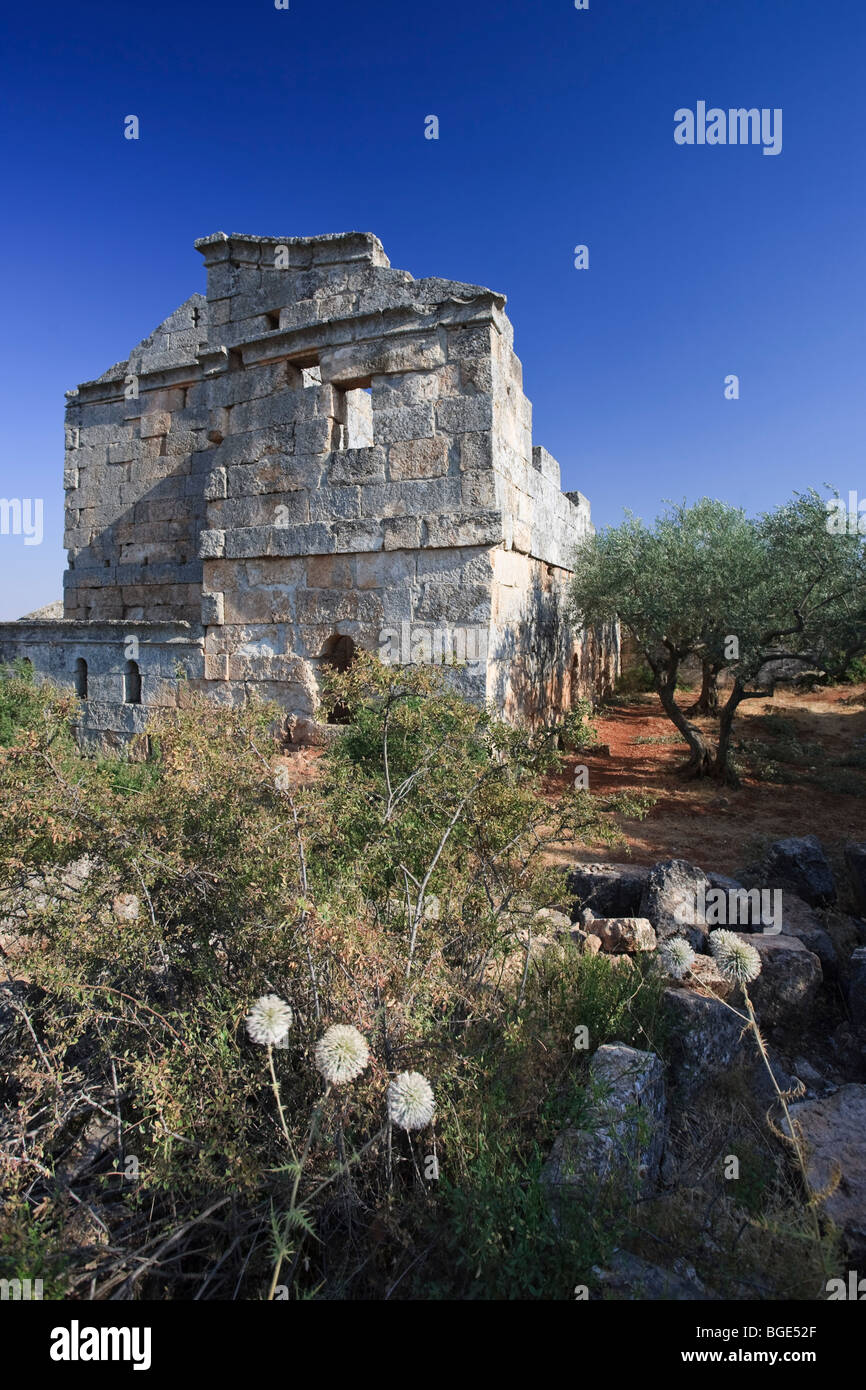 Syria, Al-Zawiya Mountain Region, The Dead Cities, Al Bara, the most ...
