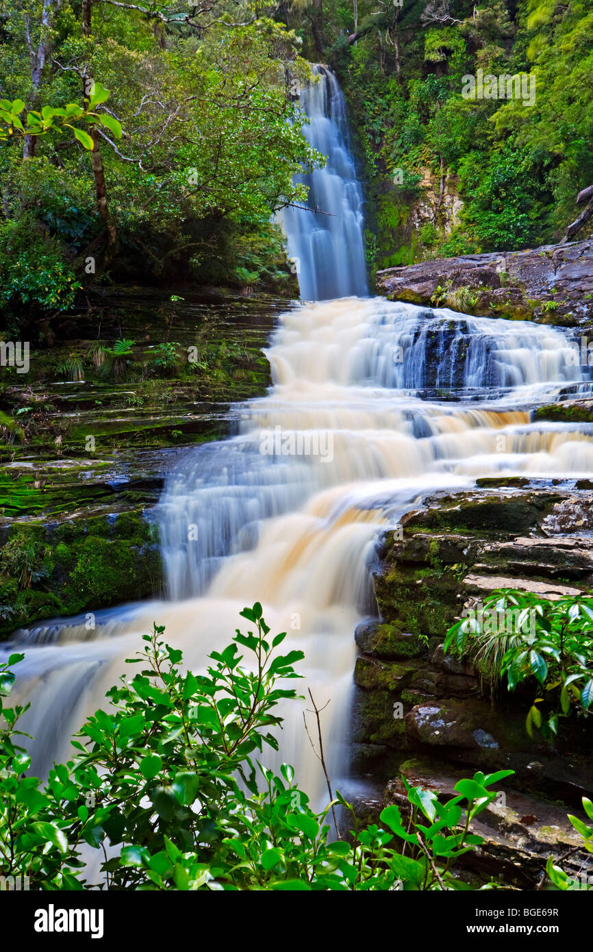 Catlins coastal heritage trail hi-res stock photography and images - Alamy