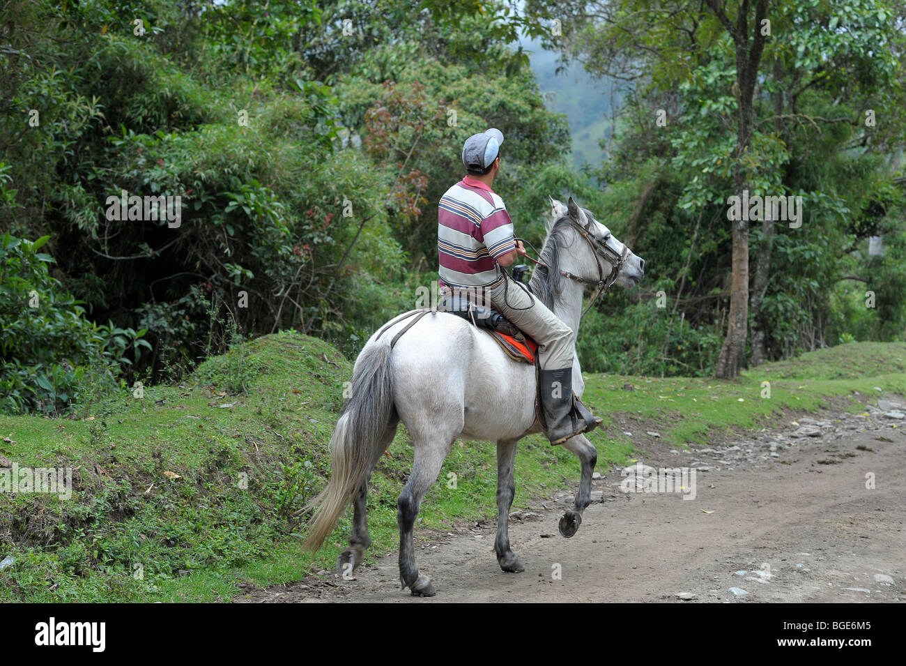 Man riding white horse in Salento,Colombia, South America Stock Photo ...