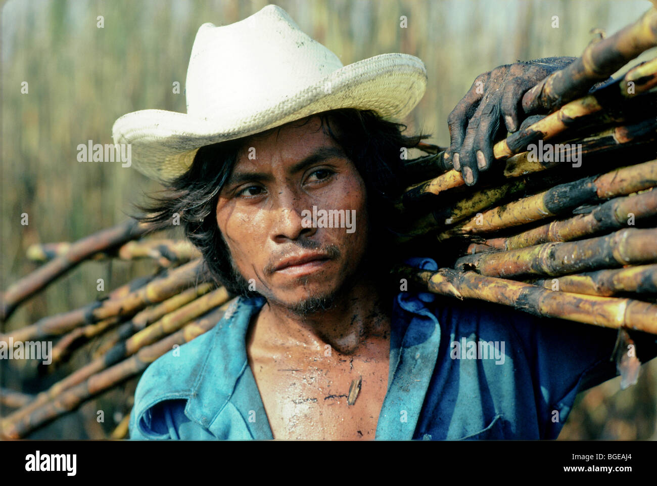 Work working hard work manual work poor poverty hi-res stock ...