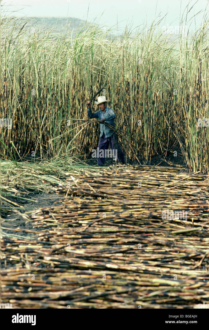 Work working hard work manual work poor poverty hi-res stock ...