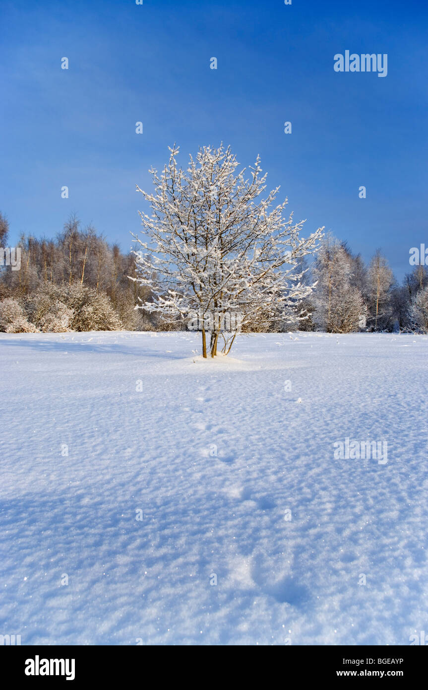 Estonian landscape hi-res stock photography and images - Alamy