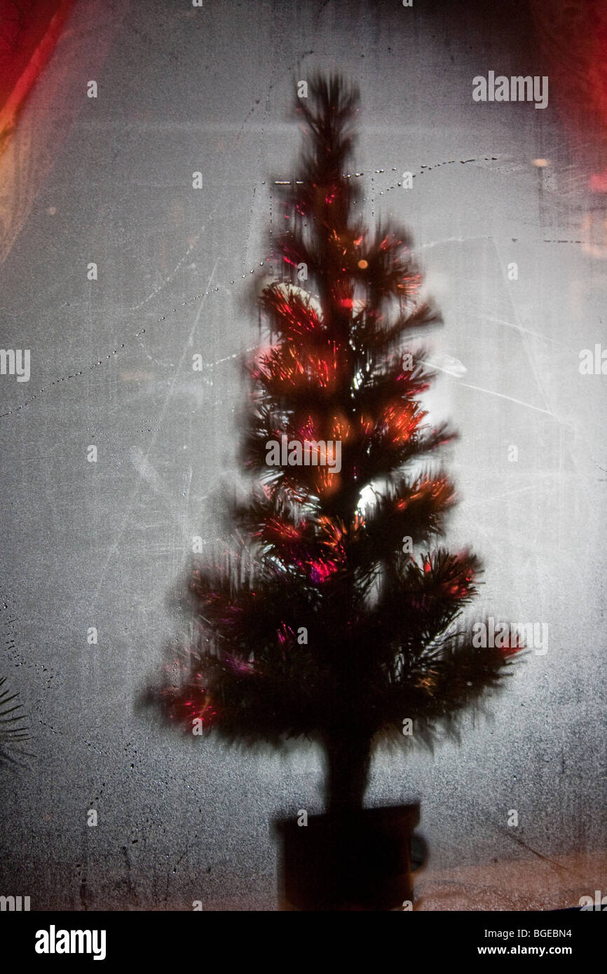 A small Christmas tree in a steamy window Stock Photo - Alamy