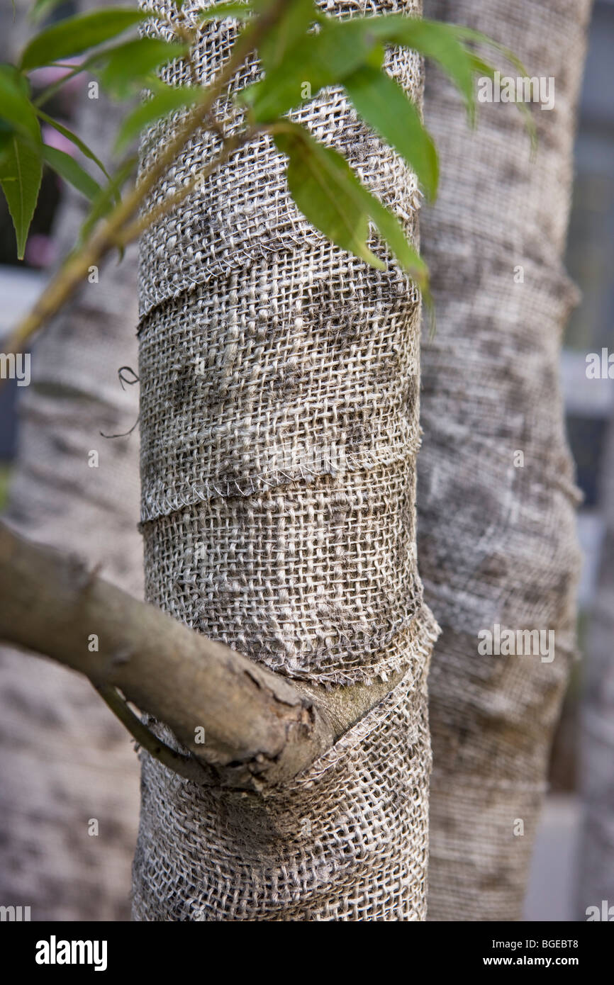 Care ecology hi-res stock photography and images - Alamy