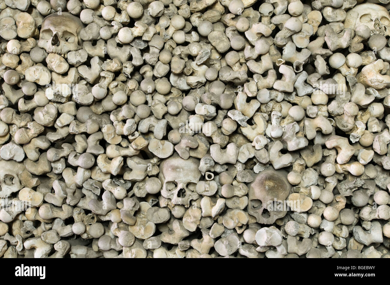 Human skulls surrounded by stacked long bones in the ossuary of St ...