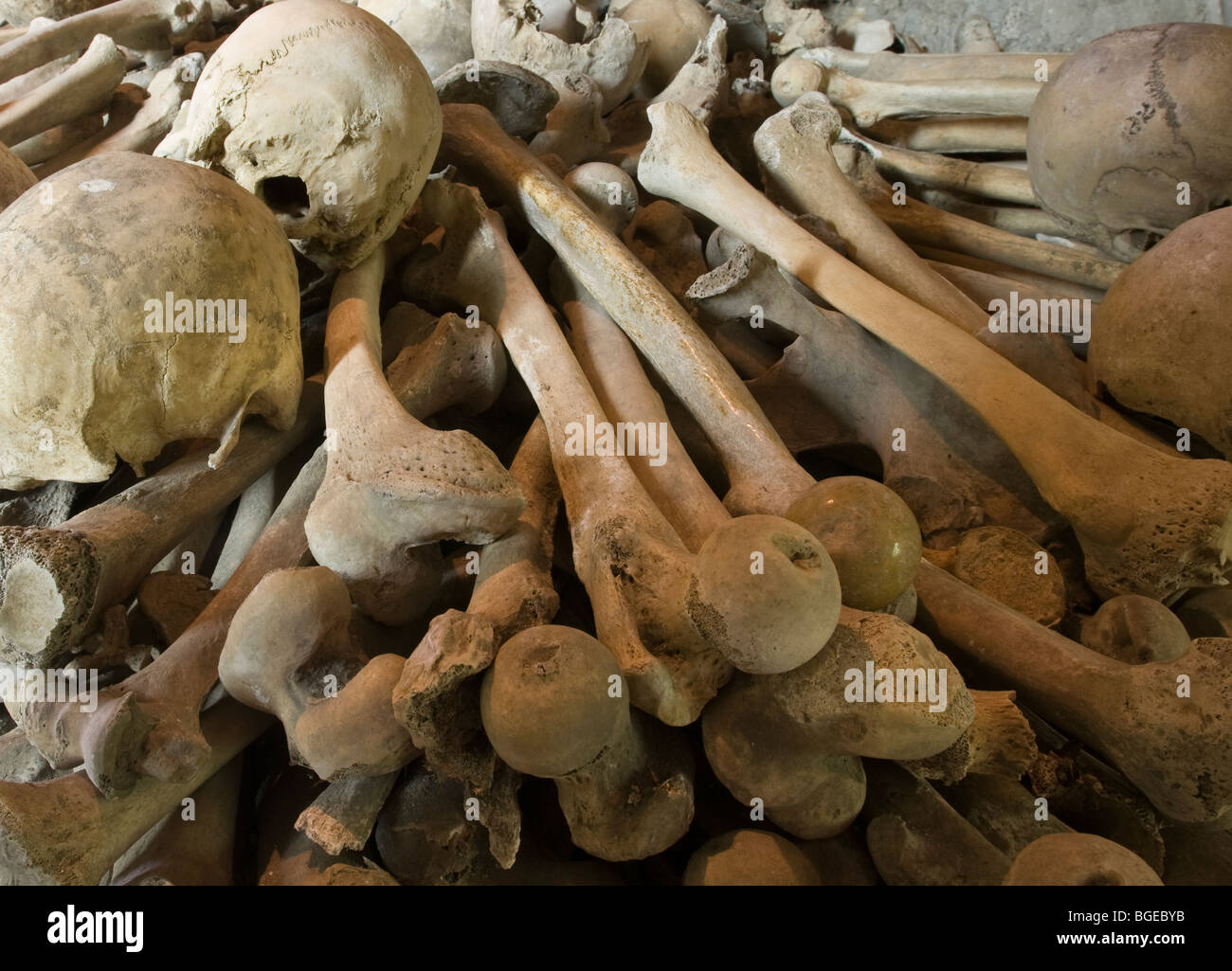 Medieval human skulls and long bones stacked in the ossuary of St ...