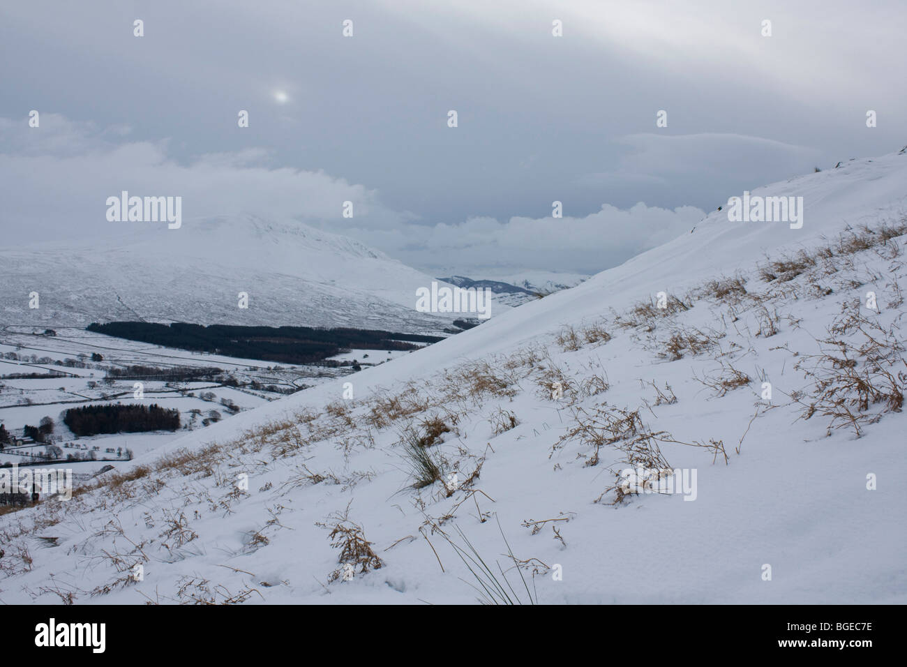 snow on ground Stock Photo - Alamy