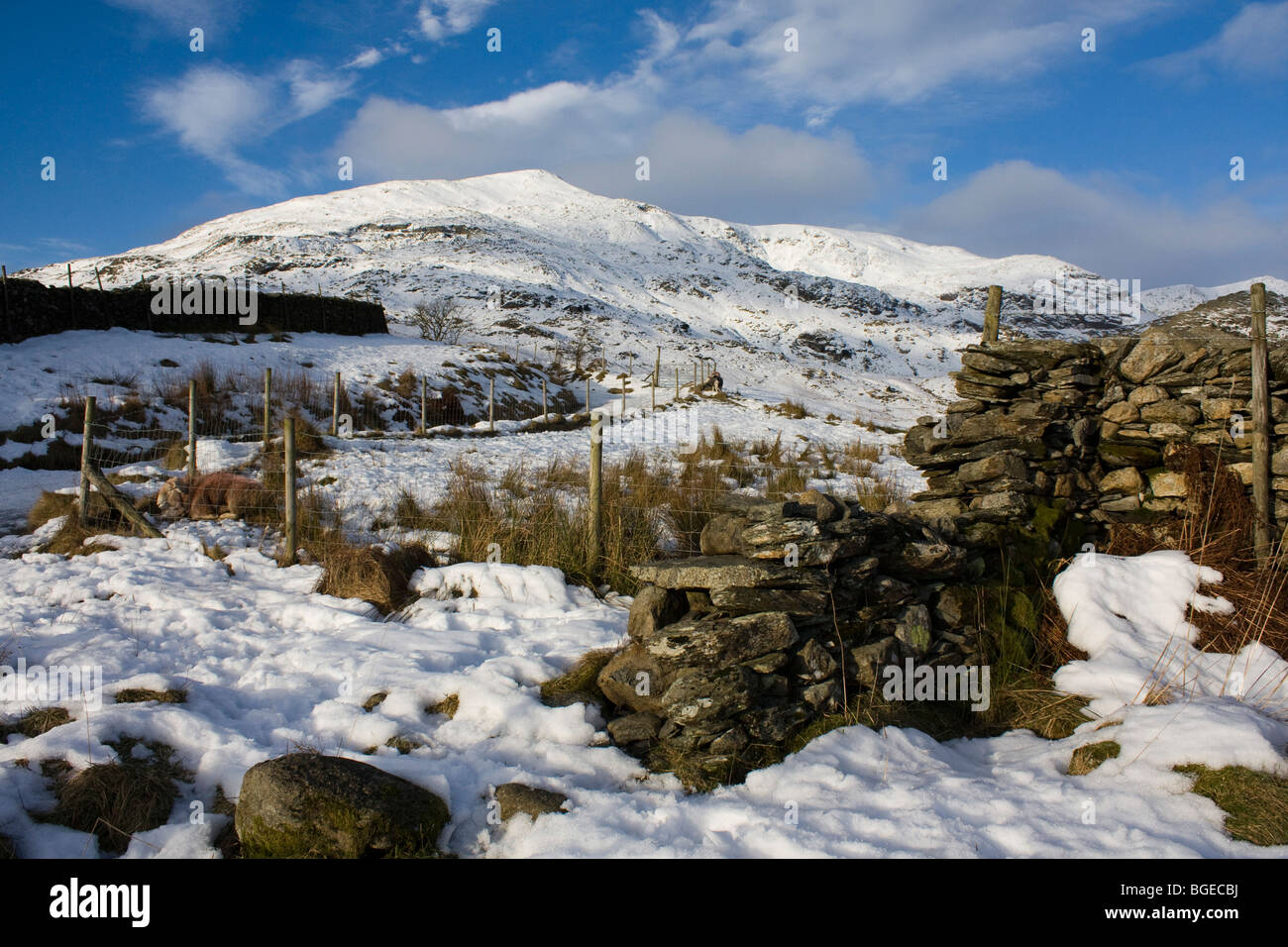 snow on ground Stock Photo - Alamy