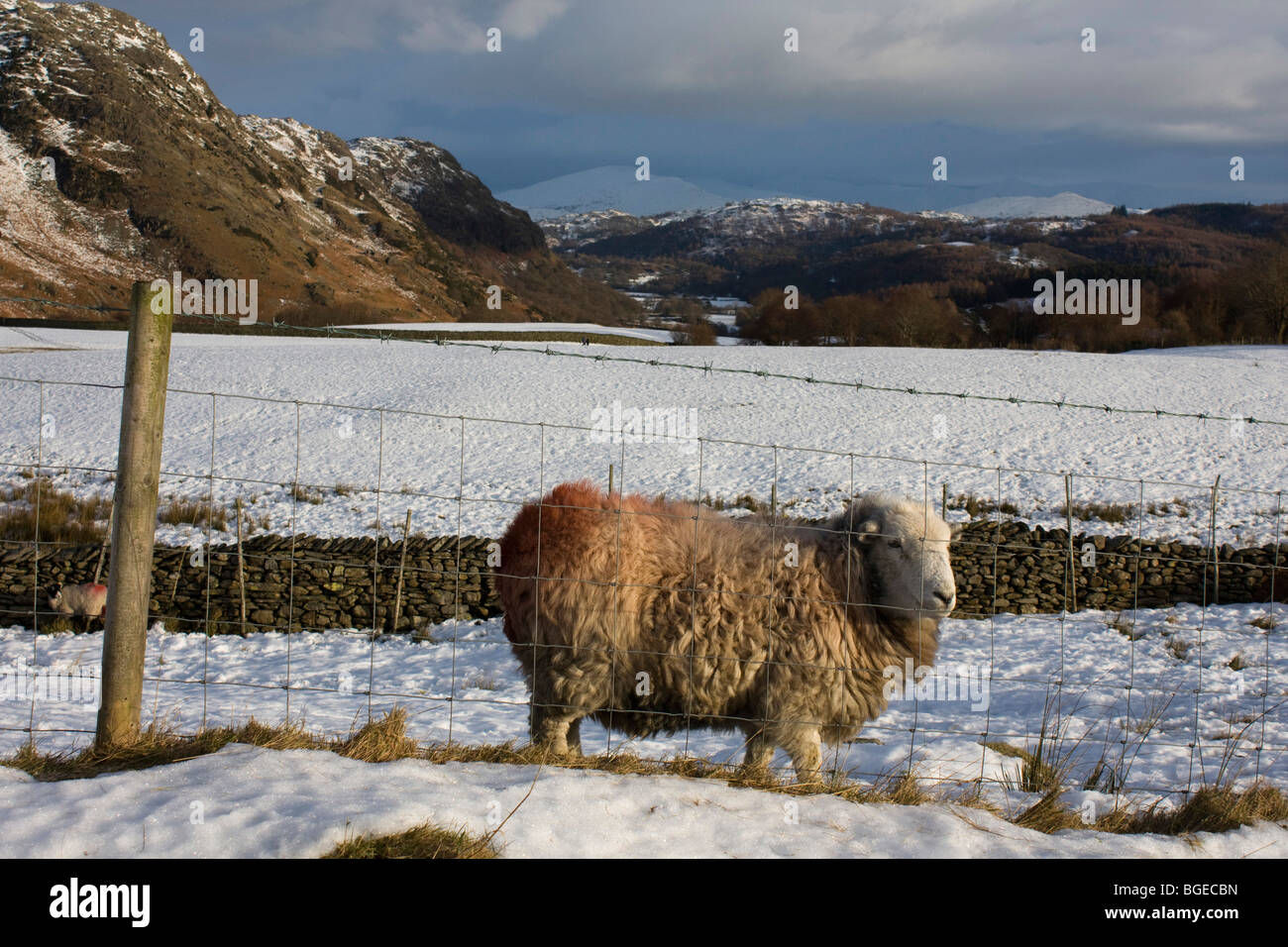 snow on ground Stock Photo - Alamy