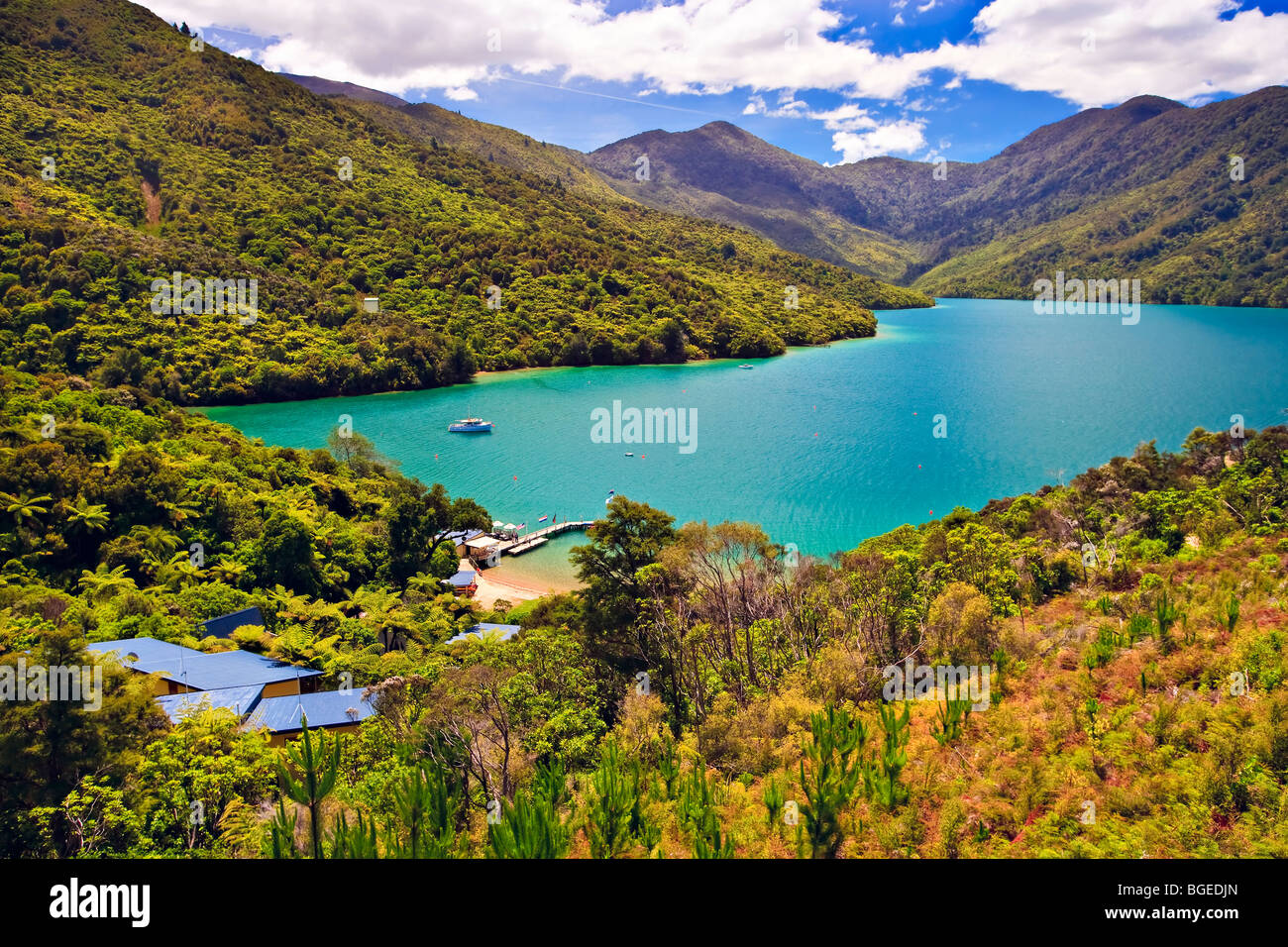 Punga Cove Resort, Endeavour Inlet, Queen Charlotte Sound, Marlborough ...