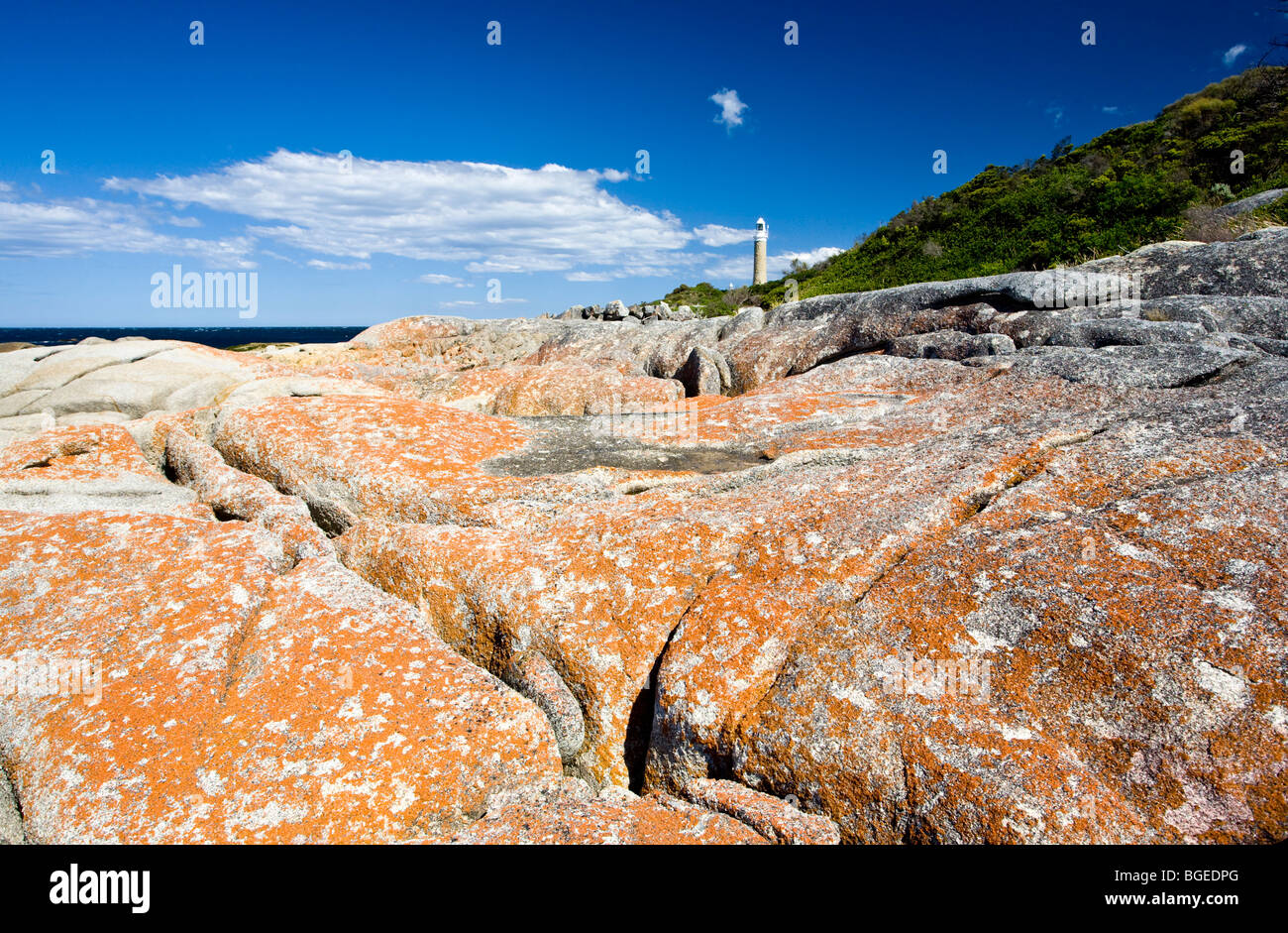 Lichen-encrusted granite at Mount William National Park, Tasmania ...