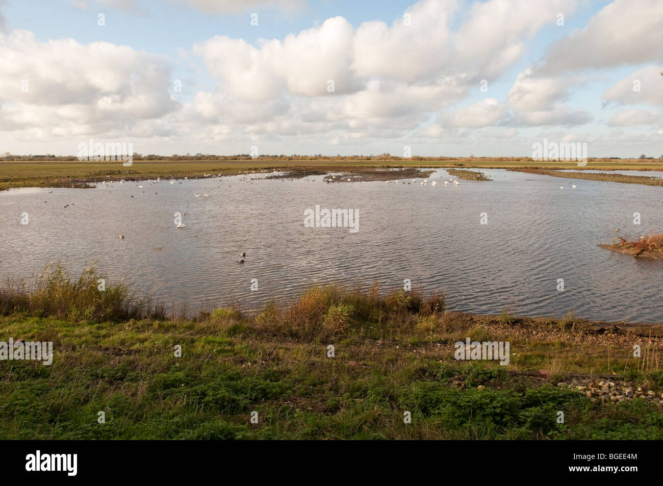 View of the Ouse washes, Welney, Cambridgeshire Stock Photo - Alamy