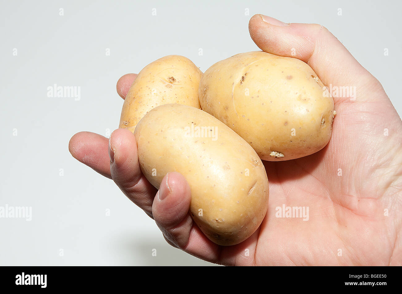 Potato farming vintage hi-res stock photography and images - Alamy