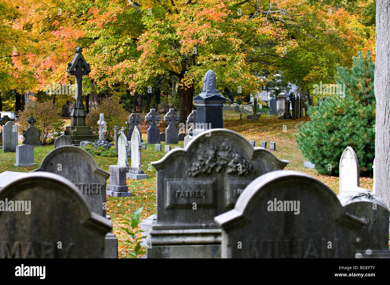 Victorian Era Gravestones in Forest Hills Cemetery, Boston ...