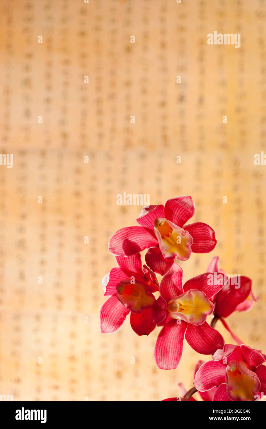 Digital calligraphy hi-res stock photography and images - Alamy