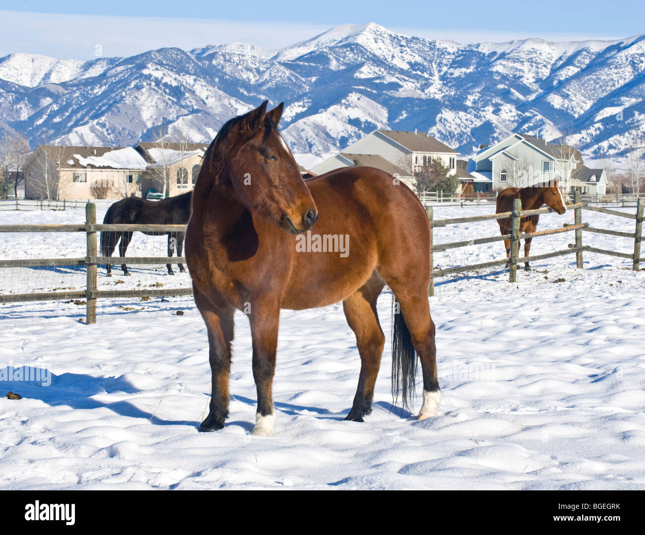 Montana christmas in bozeman mt hi-res stock photography and images - Alamy