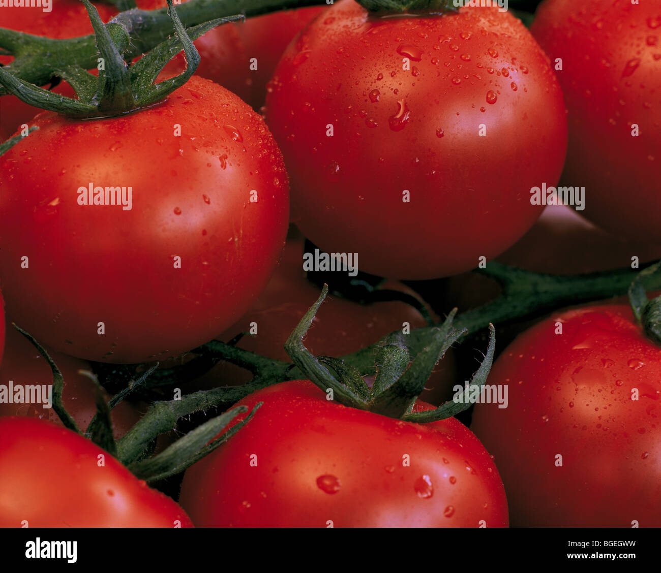 Cherry tomatoes on stem Stock Photo - Alamy