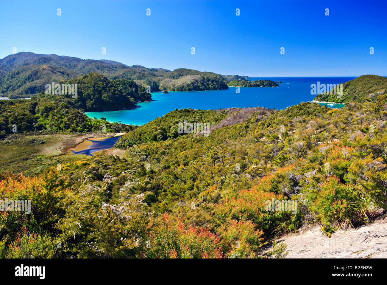 Anchorage Bay, Abel Tasman National Park, Tasman District, South Island, New Zealand Stock Photo ...