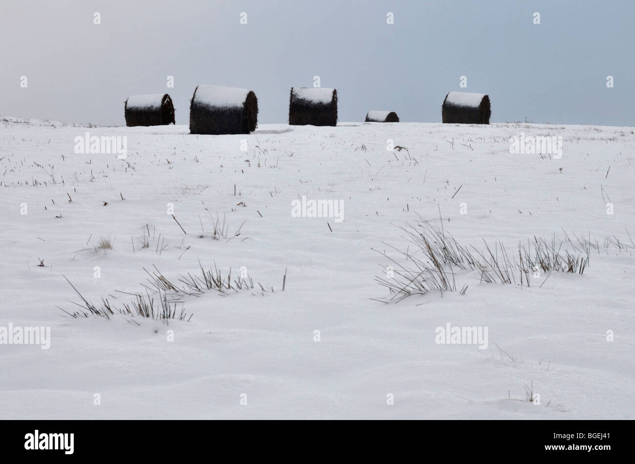 Pooley bridge lake district hi-res stock photography and images - Alamy
