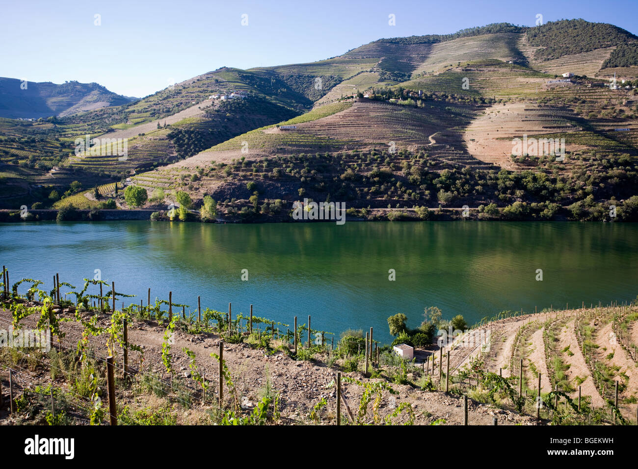 Douro vineyards and river in Pinhao, Portugal Stock Photo - Alamy