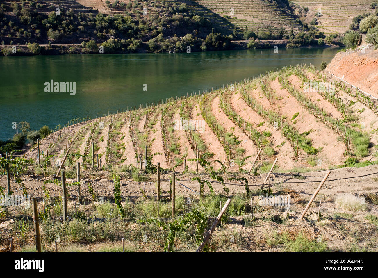Douro vineyards and river in Pinhao, Portugal Stock Photo - Alamy