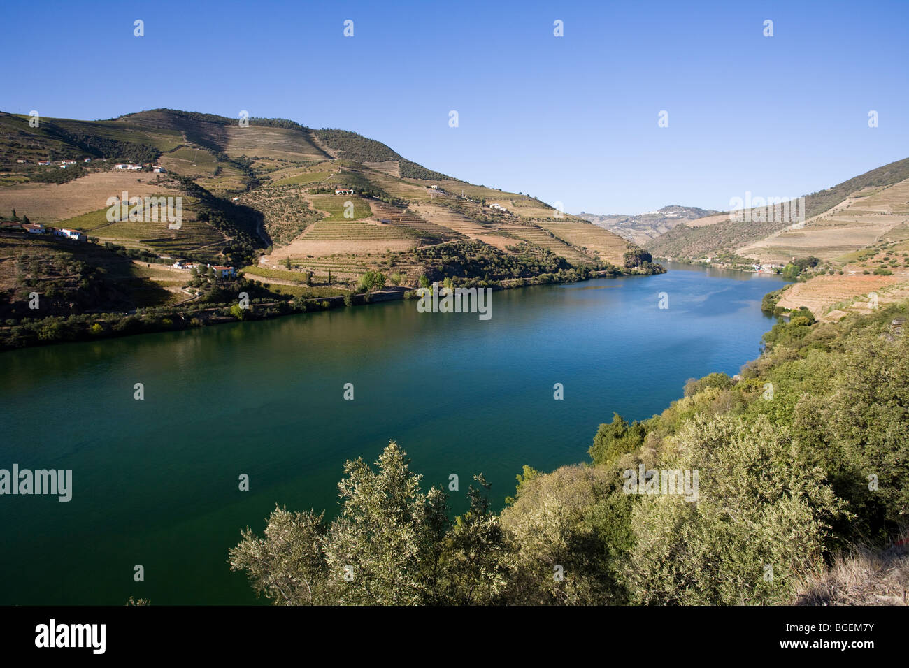 Douro river portugal vineyard hi-res stock photography and images - Alamy