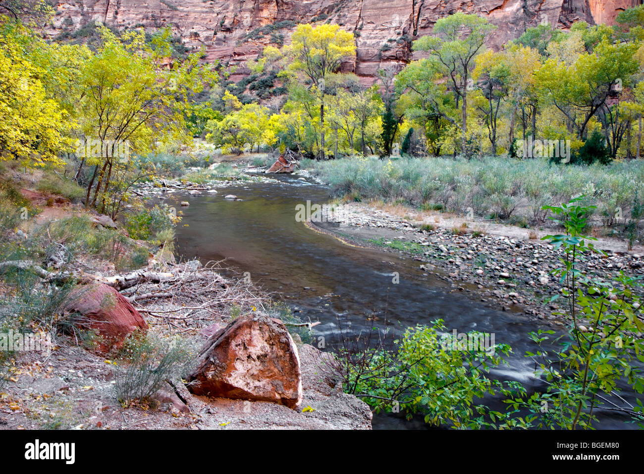 Autumn colours zion hi-res stock photography and images - Alamy