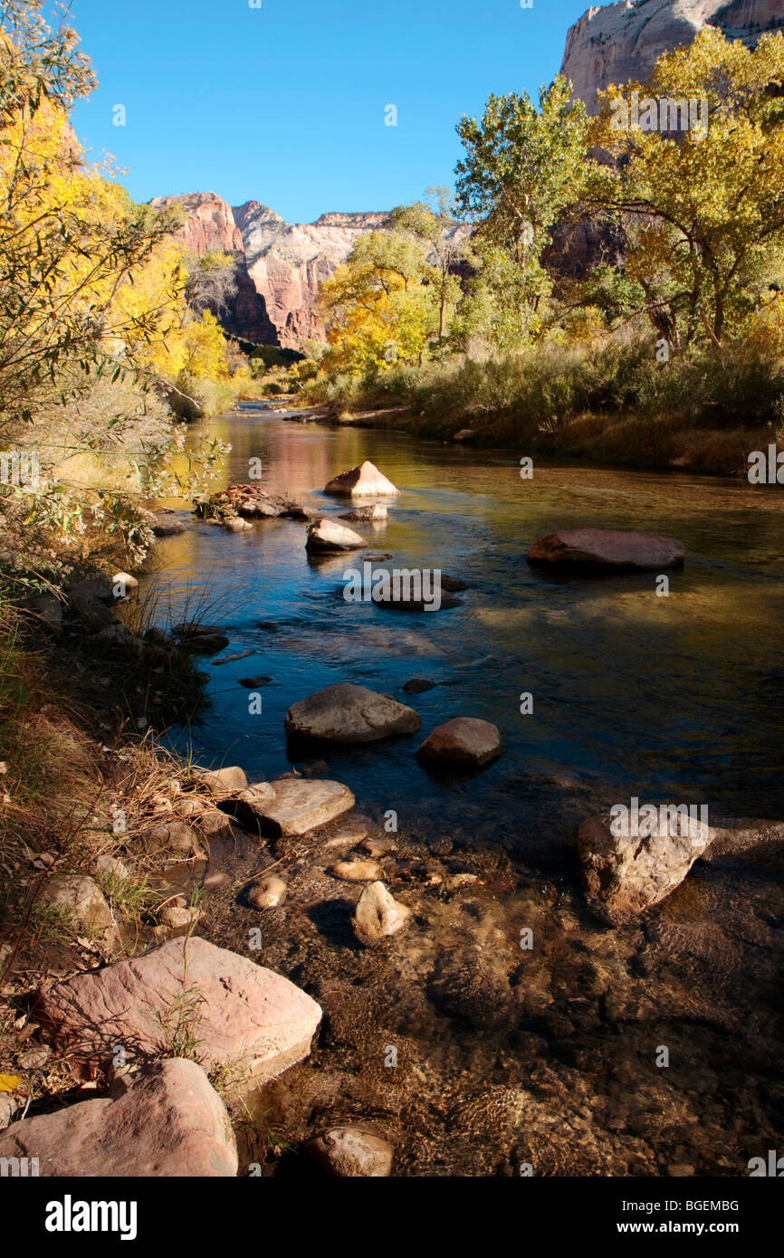 Zion national park autumn reflections hi-res stock photography and ...