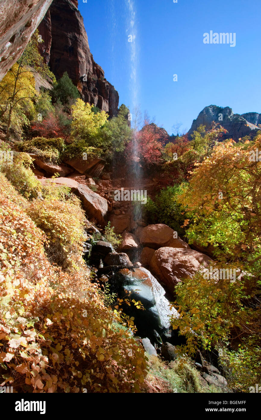 Zion national park autumn reflections hi-res stock photography and ...