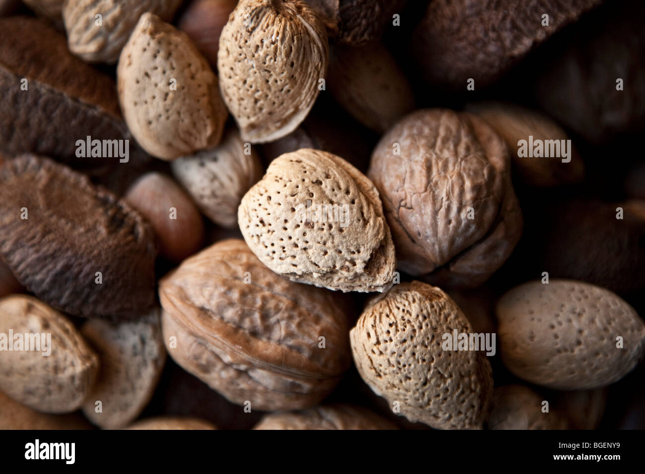 Macadamia nuts in shells hi-res stock photography and images - Alamy