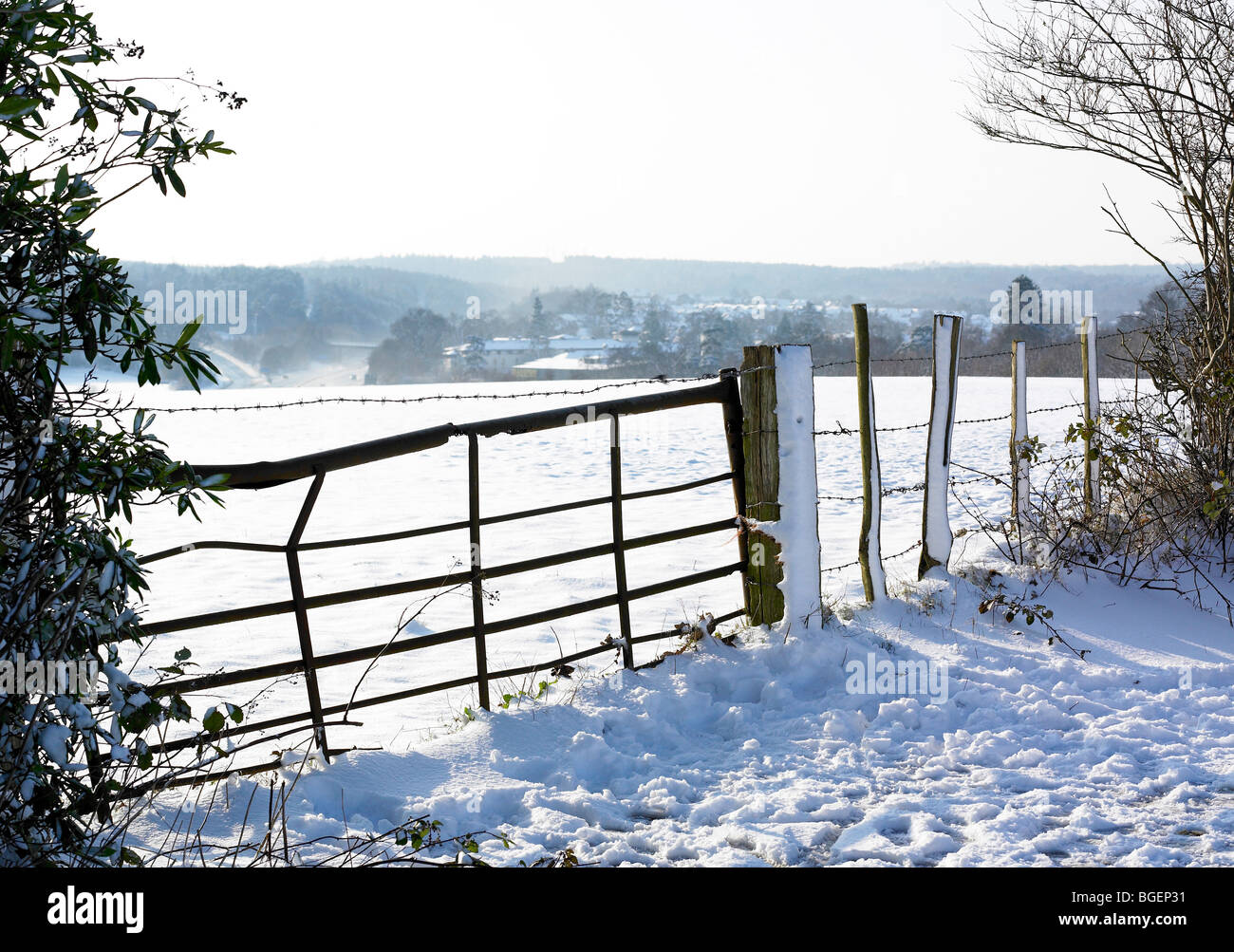 A gate and fence in the snow Stock Photo - Alamy