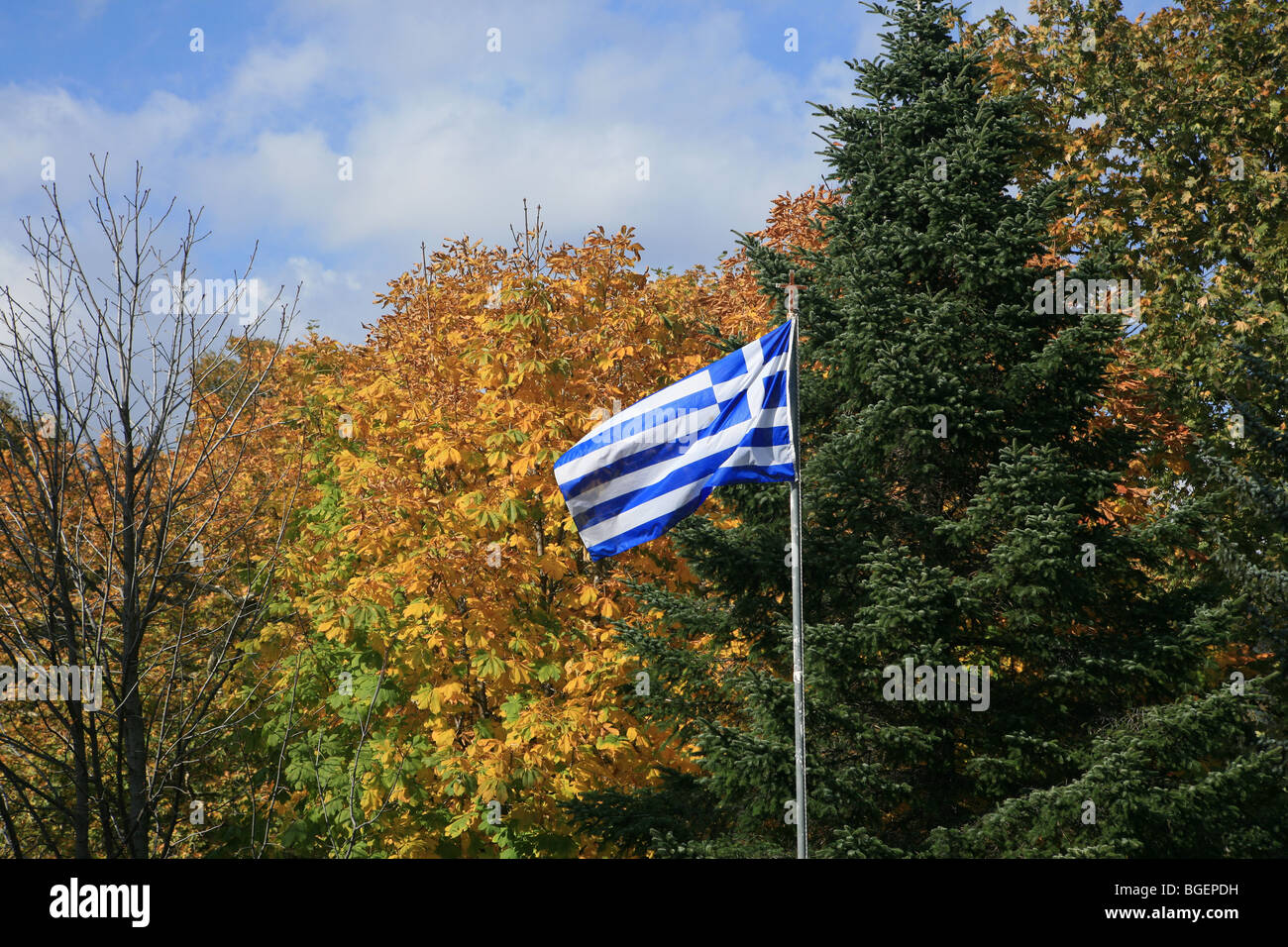 Greek flag flying in Autumn Stock Photo - Alamy