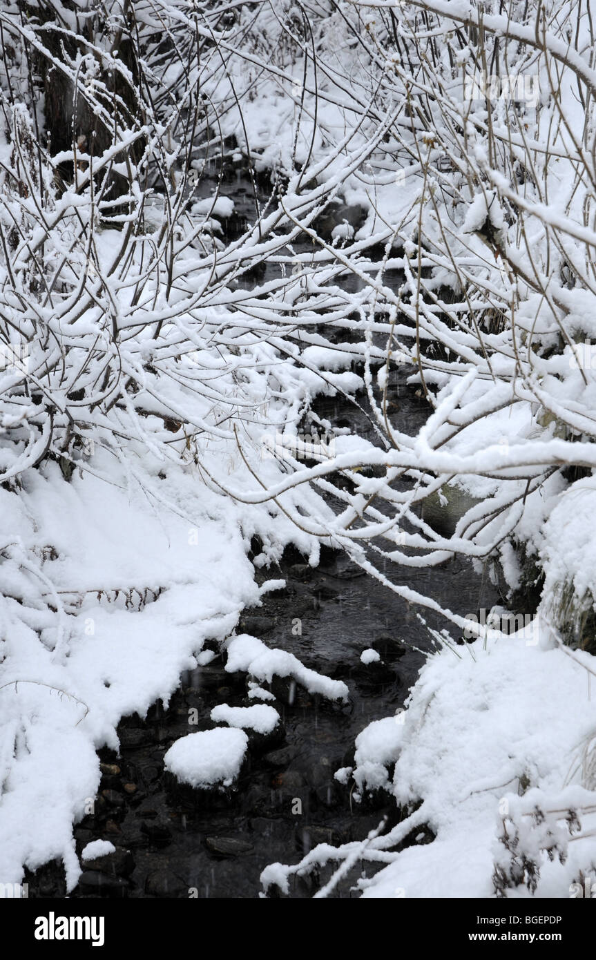 Snow meltwater hi-res stock photography and images - Alamy