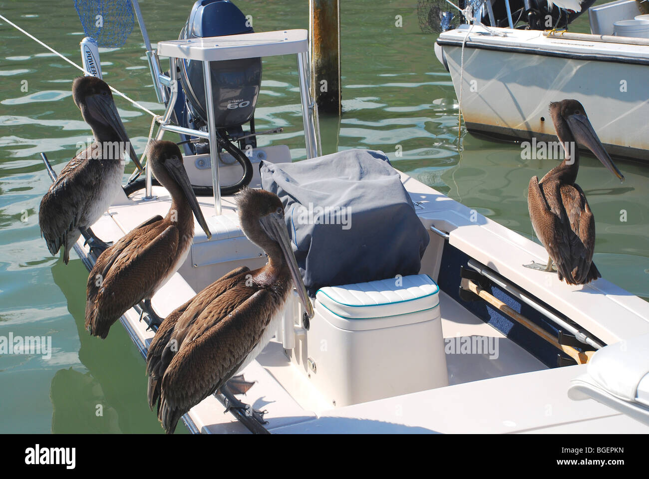 Hitch a ride hi-res stock photography and images - Alamy