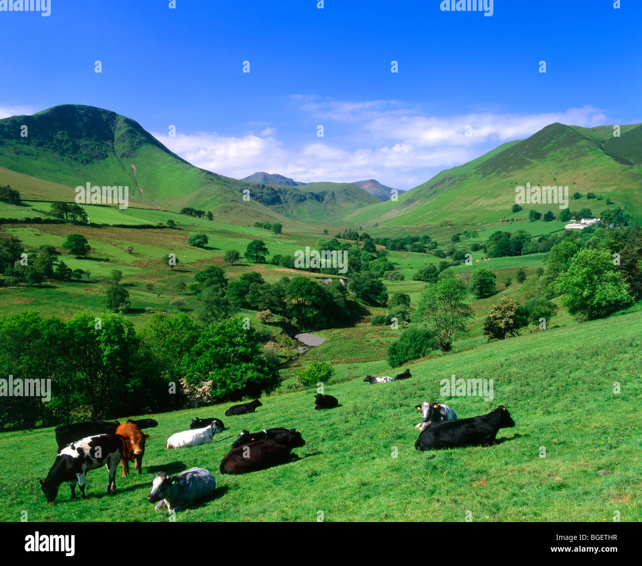 Newlands Valley, Lake District. Cumbria Stock Photo - Alamy