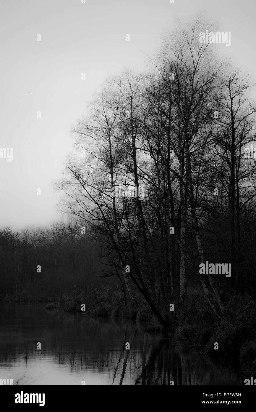 Landscape at the twilight Stock Photo - Alamy